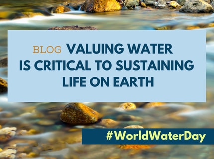 Valuing water is critical to sustaining life on Earth - Valuing Water ...