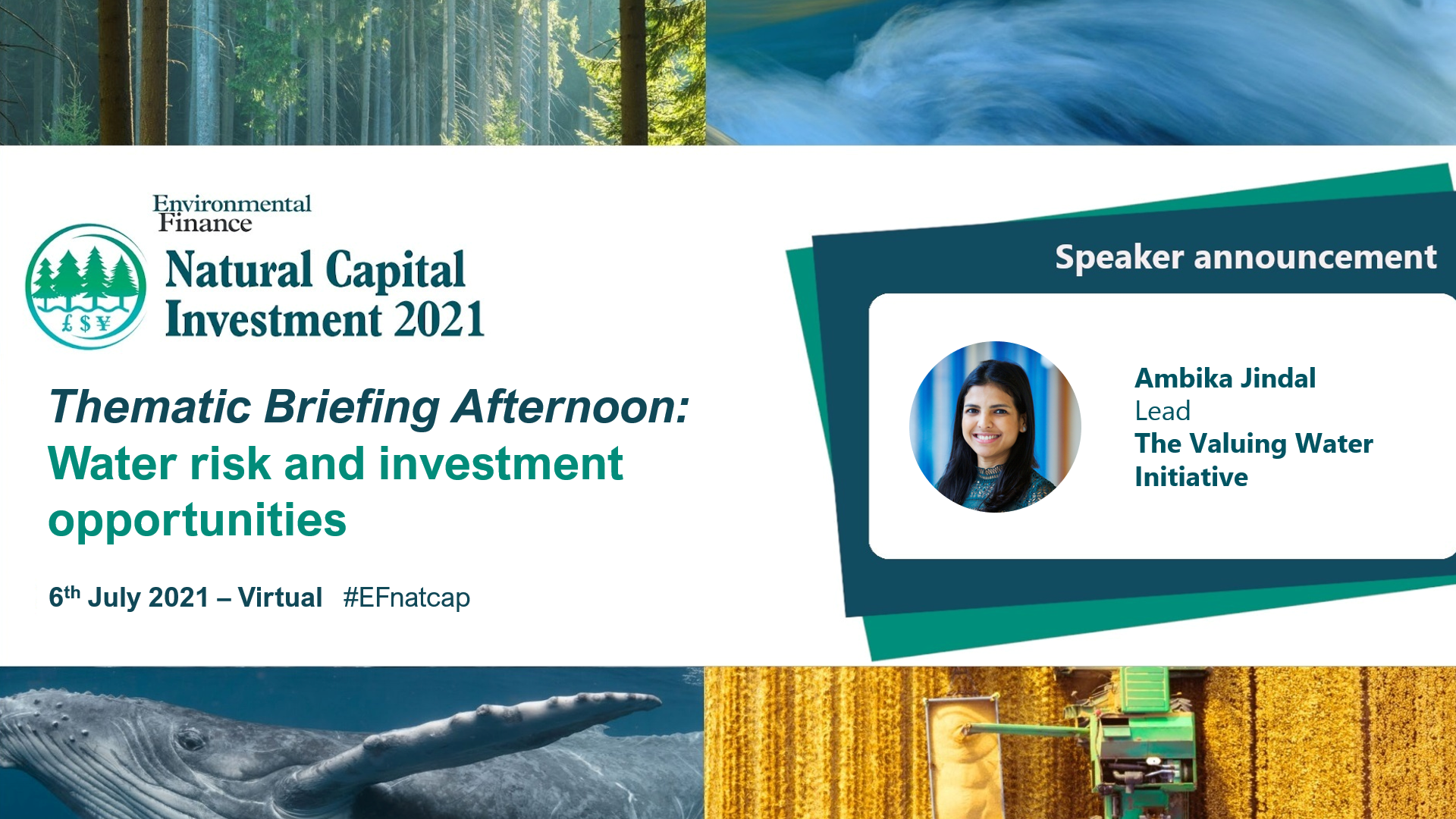 Water risk and investment opportunities - Valuing Water Initiative