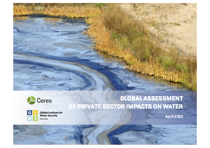 The Global Assessment of Private Sector Impacts on Water - Valuing ...