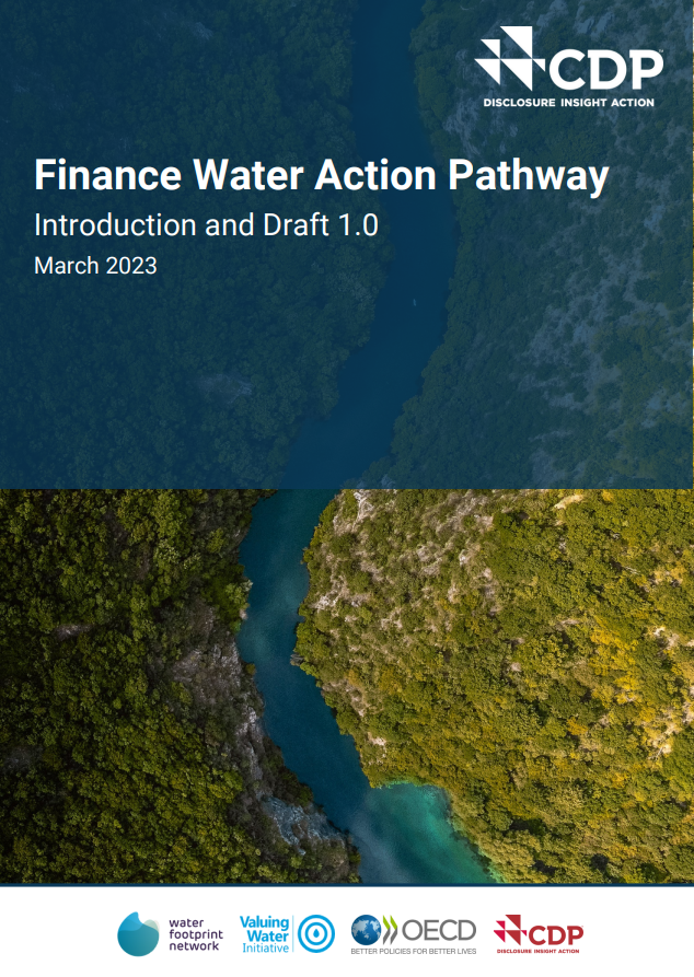 Finance Water Action Pathway - Valuing Water Initiative Finance Water Action Pathway - Valuing Water Initiative